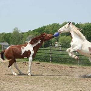 Horsemen's Pride 10" Jolly Ball Horse Toy, Blue, XLARGE, All Breed Sizes