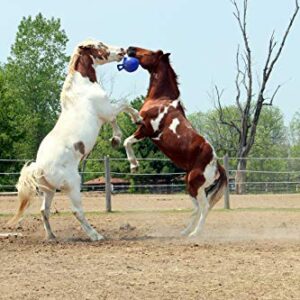 Horsemen's Pride 10" Jolly Ball Horse Toy, Blue, XLARGE, All Breed Sizes