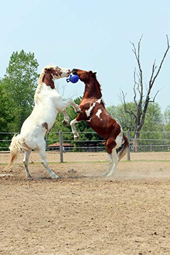 Horsemen's Pride 10" Jolly Ball Horse Toy, Blue, XLARGE, All Breed Sizes