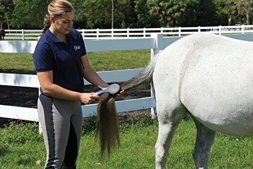 Oster Equine Care Series Mane & Tail Horse Brush, Blue (078399-140-001)