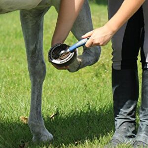 Oster Equine Care Horse Hoof Pick, Blue