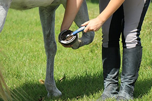 Oster Equine Care Horse Hoof Pick, Blue