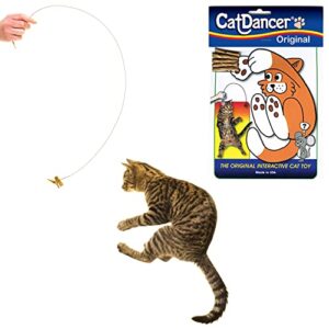 cat dancer products 101 interactive cat toy, brown