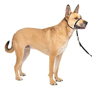 petsafe gentle leader no-pull dog headcollar - the ultimate solution to pulling - redirects your dog's pulling for easier walks - helps you regain control - medium , black