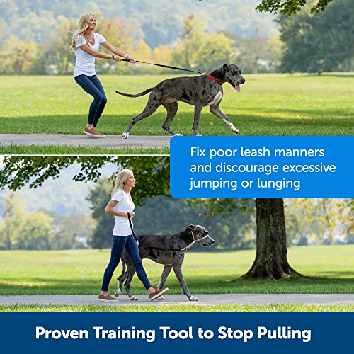 PetSafe Gentle Leader No-Pull Dog Headcollar - The Ultimate Solution to Pulling - Redirects Your Dog's Pulling For Easier Walks - Helps You Regain Control - Medium , Black