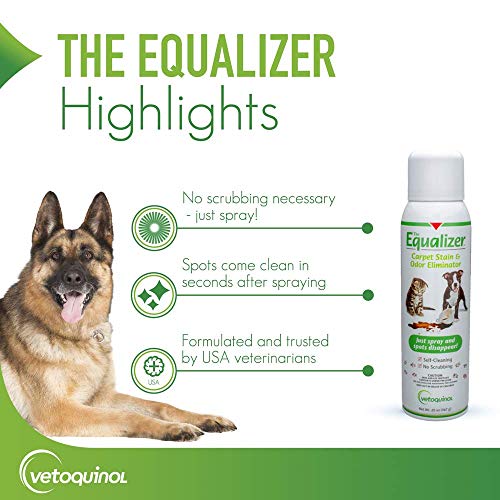 Vetoquinol Equalizer Pet Carpet Cleaner, Stain Remover & Odor Eliminator, Carpet Spot Cleaner, 20oz