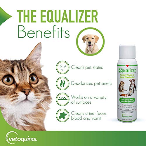 Vetoquinol Equalizer Pet Carpet Cleaner, Stain Remover & Odor Eliminator, Carpet Spot Cleaner, 20oz