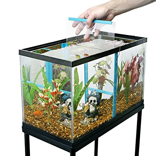 PENN-PLAX Fish Tank Divider – Clear, Perforated Polymer Screen – 11 3/8” x 9 5/8” – Medium – Great for 10 Gallon Aquariums