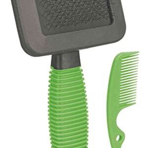 TRIXIE Pet Grooming Soft Brush & Comb Set for Puppies, Kittens, and Small Animals