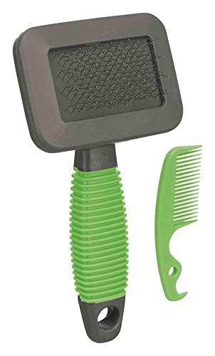 TRIXIE Pet Grooming Soft Brush & Comb Set for Puppies, Kittens, and Small Animals