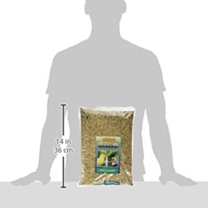 Rainforest Exotics Canary & Finch Bird Food, 4 lbs Bag - Seed Mix for Canaries and Finches