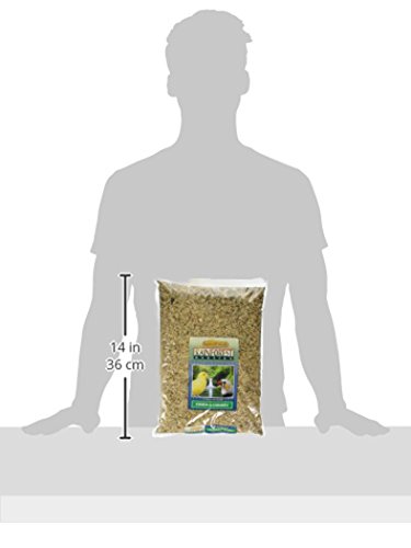 Rainforest Exotics Canary & Finch Bird Food, 4 lbs Bag - Seed Mix for Canaries and Finches