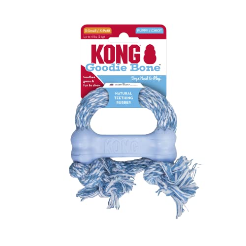 KONG - Puppy Goodie Bone with Rope - Teething Rubber, Teeth Cleaning Dog Toy - for X-Small Puppies - Blue