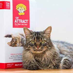 Precious Cat Cat Attract Problem Cat Training Litter, 20 pound box