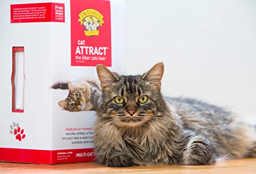 Precious Cat Cat Attract Problem Cat Training Litter, 20 pound box