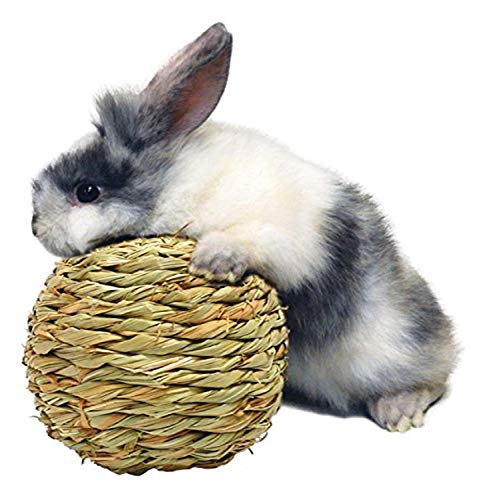 Peter's Woven Grass Play Ball for Rabbits