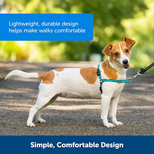 PetSafe Easy Walk No-Pull Dog Harness - The Ultimate Harness to Help Stop Pulling - Take Control & Teach Better Leash Manners - Helps Prevent Pets Pulling on Walks - Large, Black/Silver