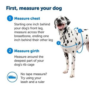 PetSafe Easy Walk No-Pull Dog Harness - The Ultimate Harness to Help Stop Pulling - Take Control & Teach Better Leash Manners - Helps Prevent Pets Pulling on Walks - Large, Black/Silver