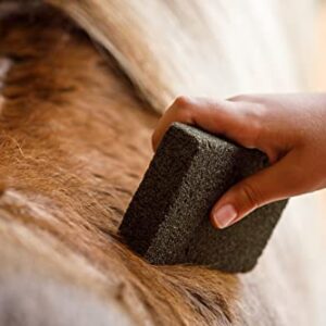 Farnam Slick 'N Easy Horse Grooming Block