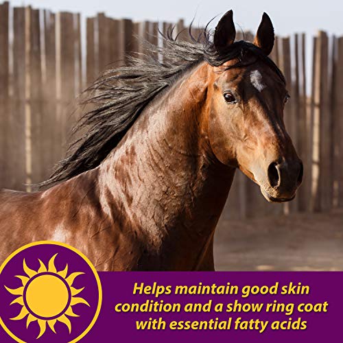 Horse Health Joint Combo Hoof & Coat, Convenient 3-in-1 horse joint supplement provides complete joint, hoof and coat care, 3.75 lbs., 30 day supply