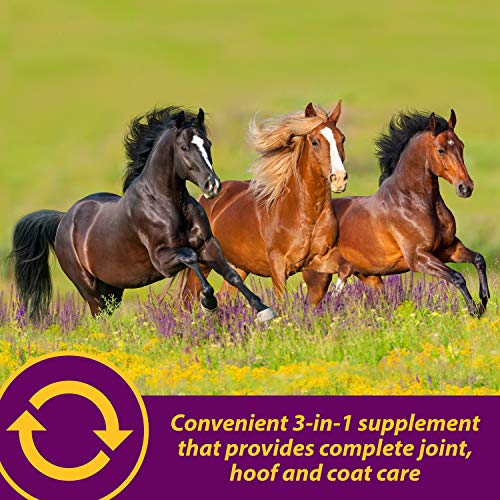 Horse Health Joint Combo Hoof & Coat, Convenient 3-in-1 horse joint supplement provides complete joint, hoof and coat care, 3.75 lbs., 30 day supply