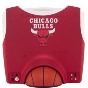 Hannspree's NBA Bulls XXL 15-Inch LCD Television