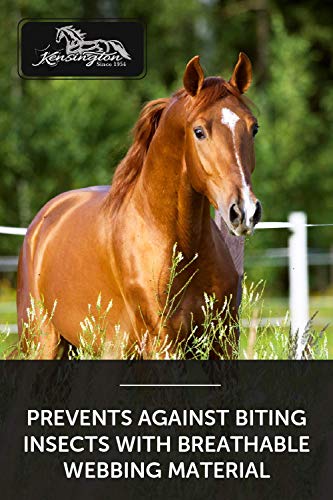 Kensington Fly Mask with Fleece Trim for Horses — Protects Face and Eyes From Flies and UV Rays While Allowing Full Visibility — Breathable and Non Heat Transferring Makes it Perfect Year Round, Large, Deluxe Black Plaid