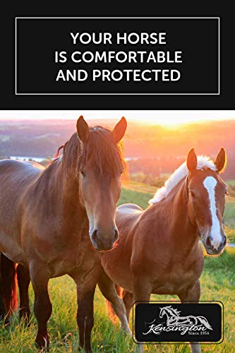 Kensington Fly Mask with Fleece Trim for Horses — Protects Face and Eyes From Flies and UV Rays While Allowing Full Visibility — Breathable and Non Heat Transferring Makes it Perfect Year Round, Large, Deluxe Black Plaid