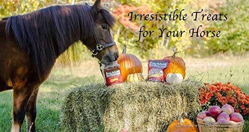 Mrs. Pastures Horse Cookies & Treats - Premium All Natural Treats (5 Pound Bag)