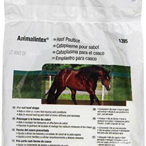 3M Animalintex Hoof Pads 1395