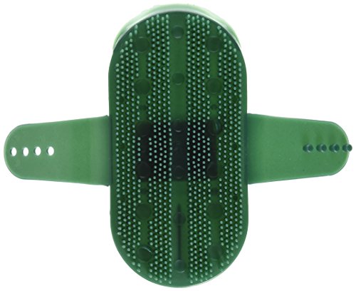 Partrade 244078 111484 Plastic Curry Comb with Strap, Green, 7"