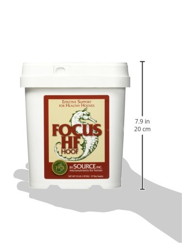 Source 573935 Focus Hf Hoof micronutrient for Horses, 3.5 lb