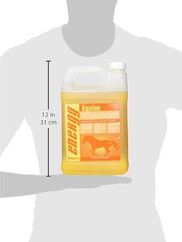 Manna Pro Equine Fat Supplement, 1-Gallon