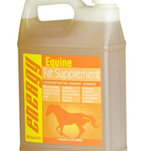 Manna Pro Equine Fat Supplement, 1-Gallon