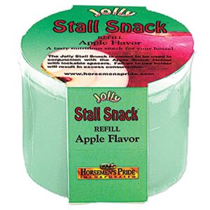 horsemen's pride treat refill for stall snack holder apple