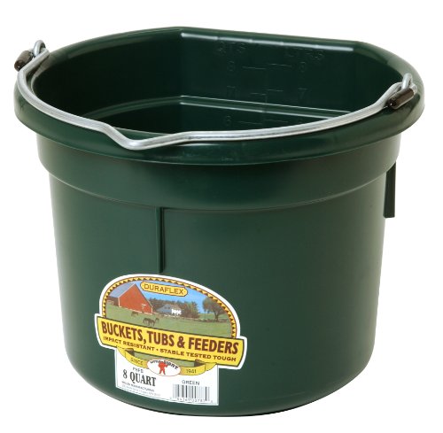 Miller Manufacturing P8FBGREEN Flat Back Bucket for Dogs and Horses, 8-Quart, Green