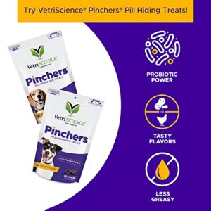 VETRISCIENCE Bladder Strength for Dogs, 90 Chewable Tablets - Vet Formulated Bladder Control Supplement with Saw Palmetto