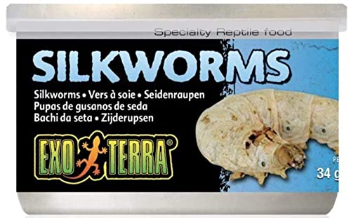 Exo Terra Specialty Reptile Food, Canned Silkworms for Reptiles, PT1954