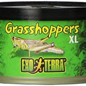 Exo Terra Specialty Reptile Food, Canned XL Grasshoppers for Reptiles, PT1952