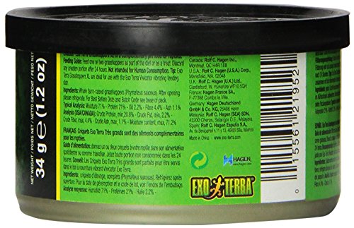 Exo Terra Specialty Reptile Food, Canned XL Grasshoppers for Reptiles, PT1952