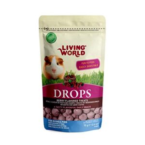 living world guinea pig treat, 2.6-ounce