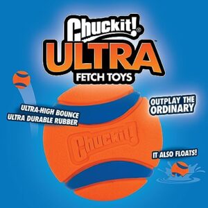 Chuckit Ultra Ball Dog Toy, Medium (2.5 Inch Diameter) Pack of 2, for breeds 20-60 lbs