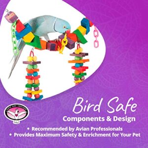 Super Bird Creations SB449 Rainbow Bridge Jr. Bird Toy, Medium Bird Size, 18” x 3” x 7”