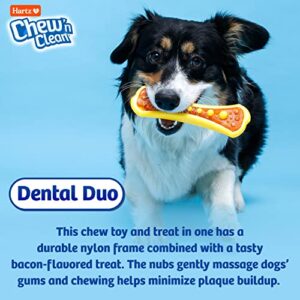 Hartz Chew 'n Clean Dental Duo Bacon Flavored Dental Dog Chew Toy and Treat - Large, Colors may vary