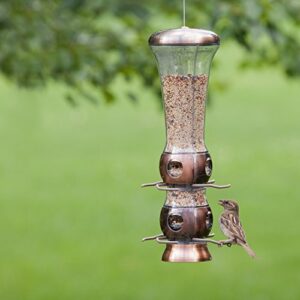 Perky-Pet 112-4 Select-A-Bird Tube Feeder with Metal Finish