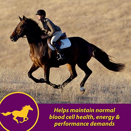 Horse Health Red Cell, Liquid Vitamin-Iron-Mineral Supplement for Horses, Helps Fill Important Nutritional Gaps in Horse's Diet, 1 Gallon, 128 Oz., 64-Day Supply