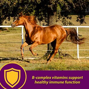 Horse Health Red Cell, Liquid Vitamin-Iron-Mineral Supplement for Horses, Helps Fill Important Nutritional Gaps in Horse's Diet, 1 Gallon, 128 Oz., 64-Day Supply