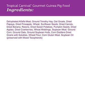 F.M. Brown's Tropical Carnival Gourmet Guinea Pig Food with Alfalfa and Timothy Hay Pellets - Vitamin-Nutrient Fortified Daily Diet - 5lb