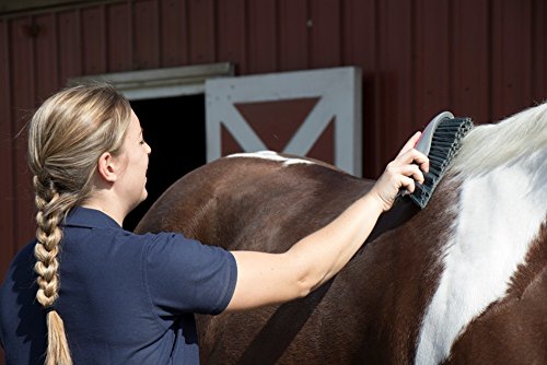 Oster Equine Care Series Horse Grooming Brush, Stiff Bristle, Pink (0-34264-41960-5)