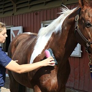 Oster Equine Care Series Horse Grooming Brush, Stiff Bristle, Pink (0-34264-41960-5)